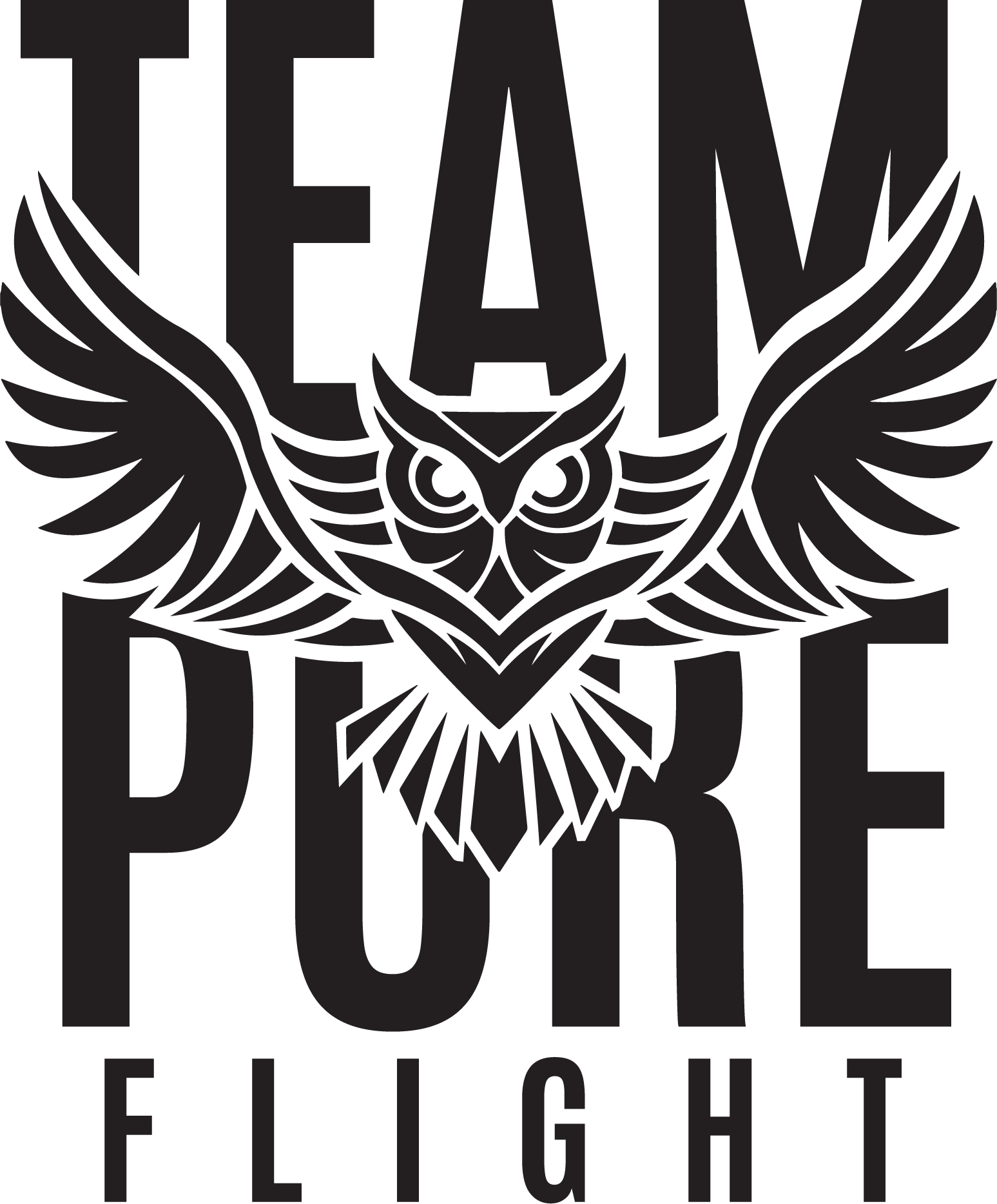 Team Pure Flight Collection – Pure Flight Disc Golf